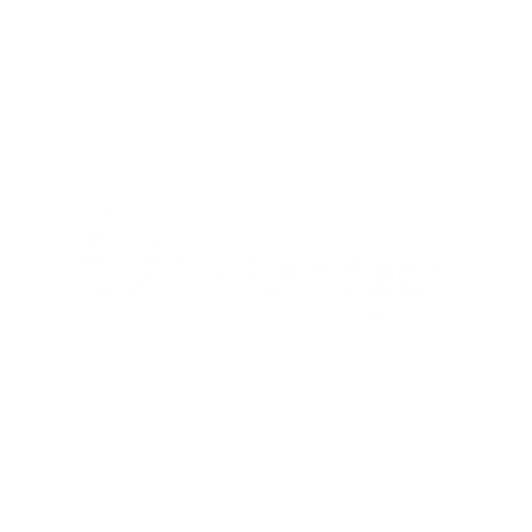Orange Cafe Logo – Neil Torres